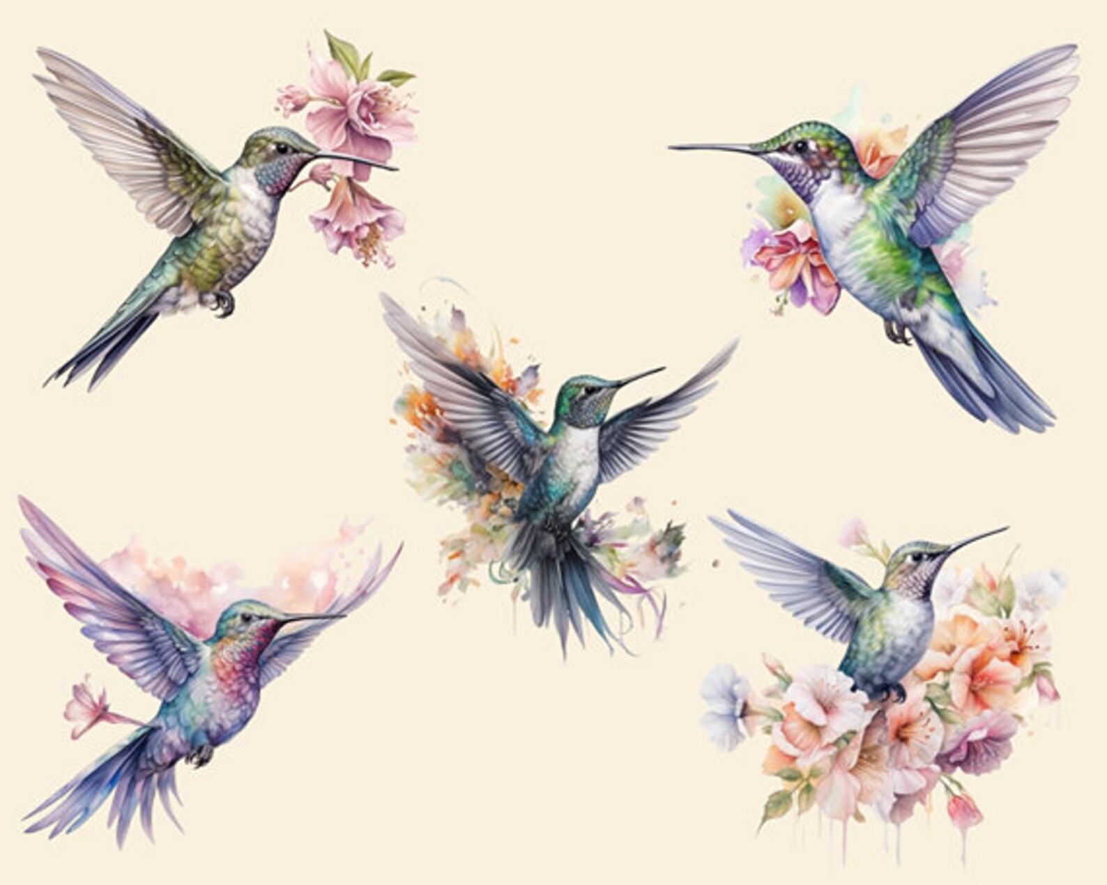 Whimsical Hummingbird Delicate Watercolor Clip Art 18 Stunning Images ...