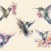 Whimsical Hummingbird Delicate Watercolor Clip Art 18 Stunning Images ...