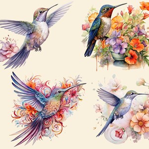 Whimsical Hummingbird Delicate Watercolor Clip Art 18 Stunning Images ...