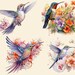 Whimsical Hummingbird Delicate Watercolor Clip Art 18 Stunning Images ...