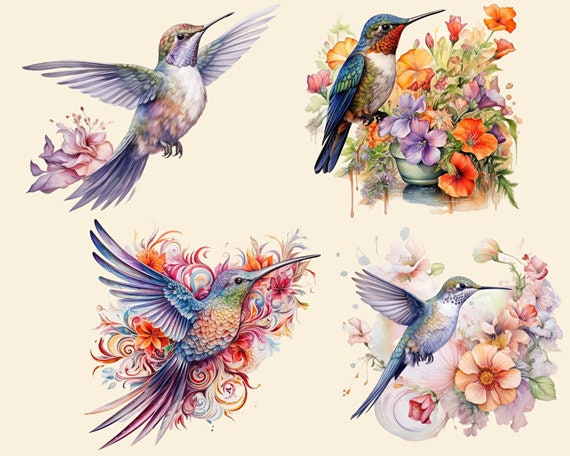 Whimsical Hummingbird Delicate Watercolor Clip Art 18 Stunning Images ...