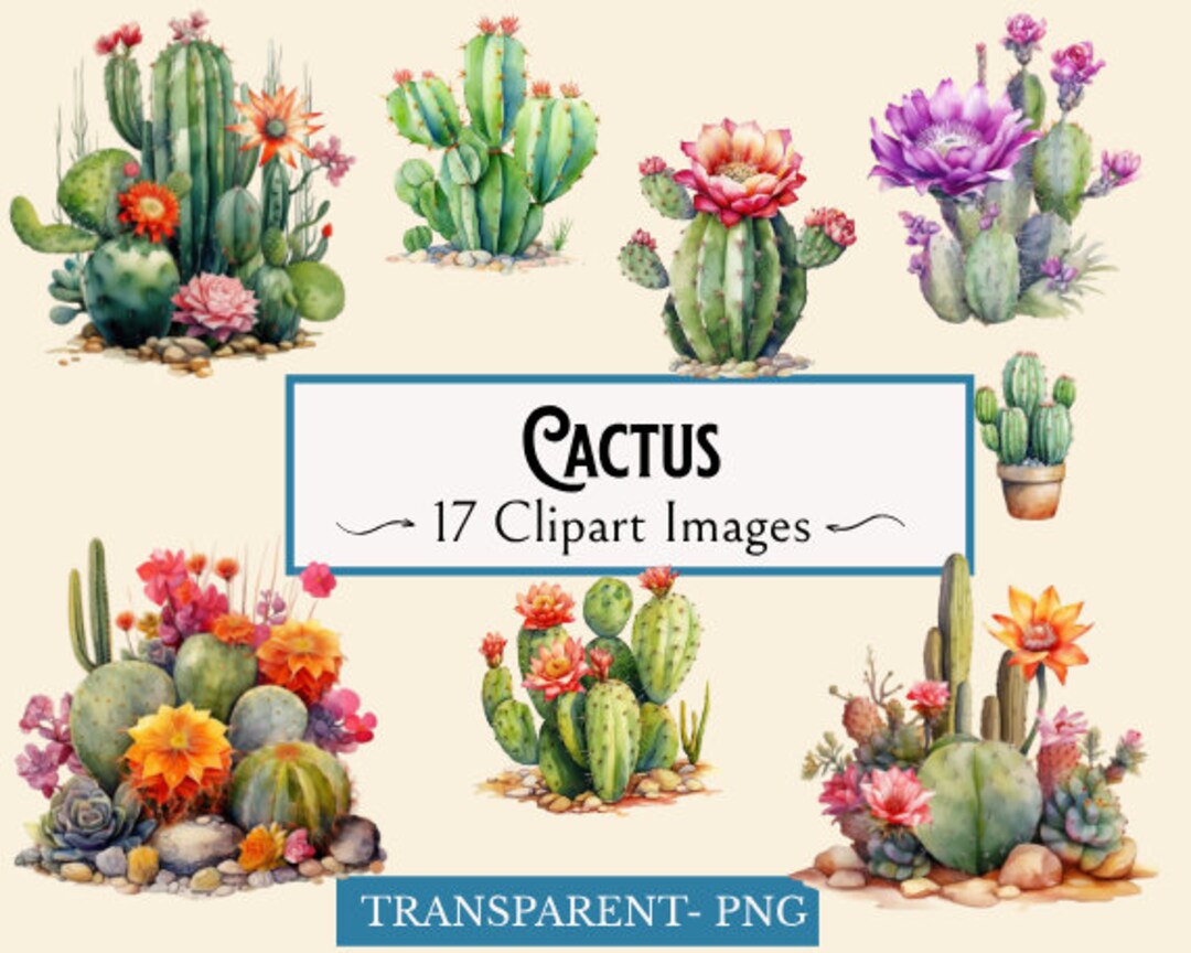Colorful Cactus Clipart Bundle 17 Images - Etsy