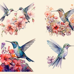 Whimsical Hummingbird Delicate Watercolor Clip Art 18 Stunning Images ...