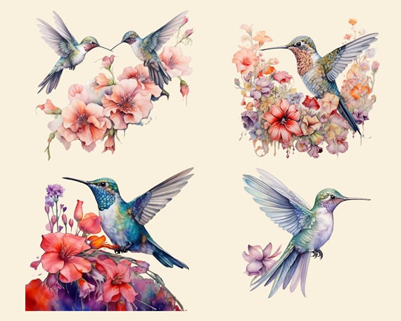 Whimsical Hummingbird Delicate Watercolor Clip Art 18 Stunning Images ...
