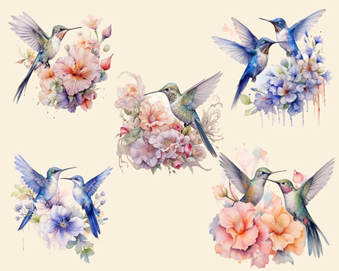 Whimsical Hummingbird Delicate Watercolor Clip Art 18 Stunning Images ...