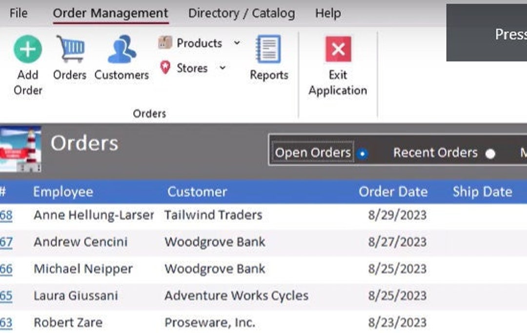 Customize Microsoft Access Ribbon - Etsy