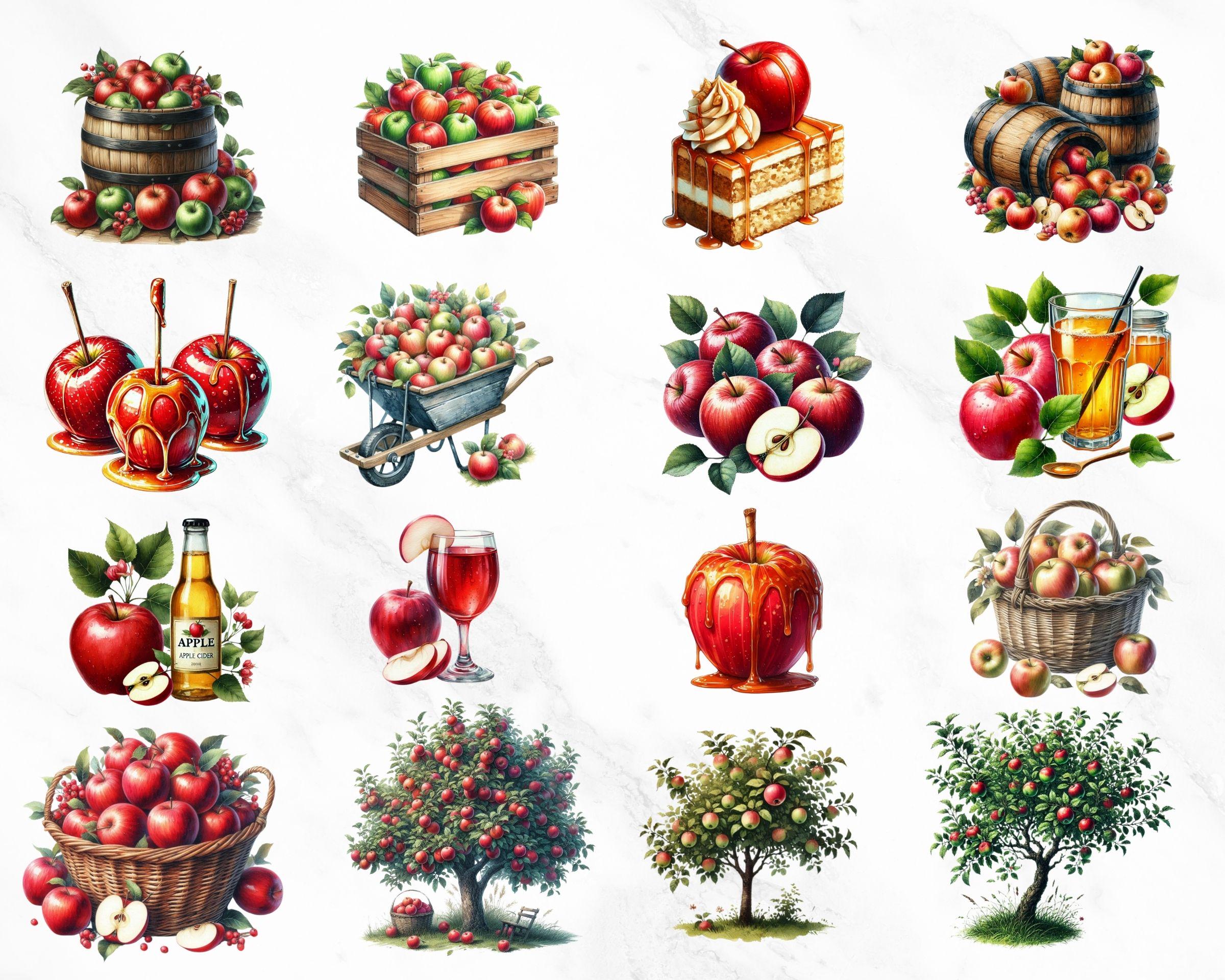 Watercolor Apple Clipart Bundle, Red Apple Clipart, Apple Tree Graphics ...