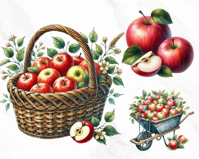 Watercolor Apple Clipart Bundle, Red Apple Clipart, Apple Tree Graphics ...