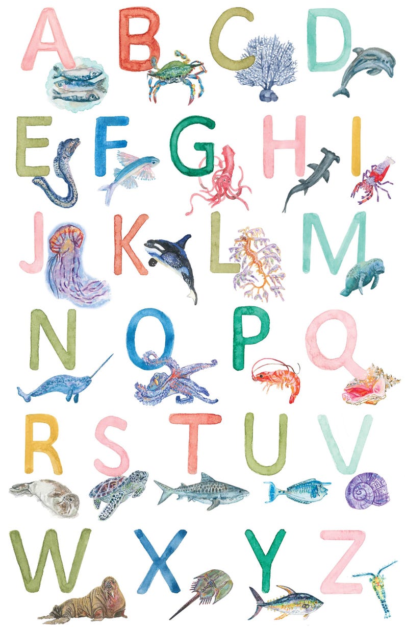Ocean Creatures Alphabet - Etsy