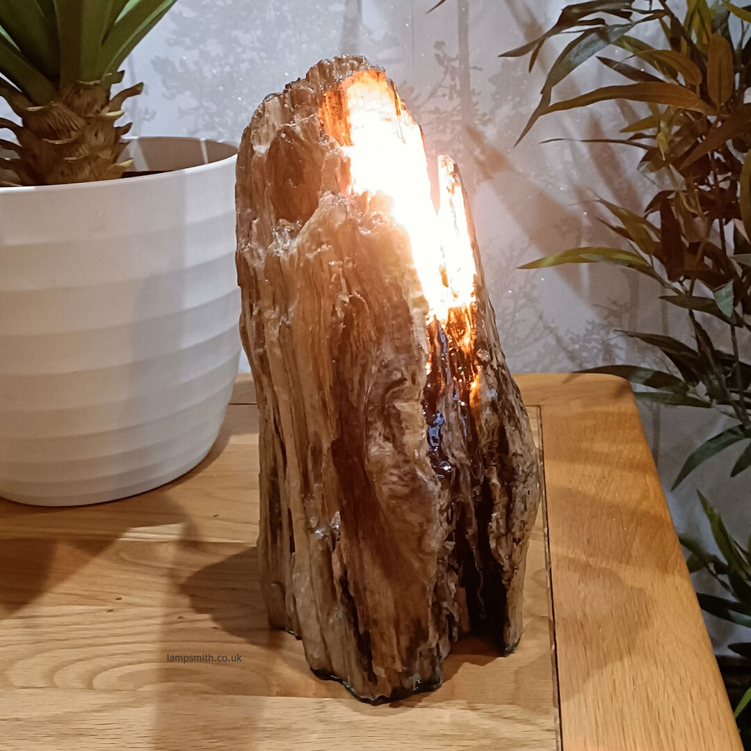 Driftwood Table Lamp, Stunning Table Lamp, Unique Lamp, Driftwood Lamp ...