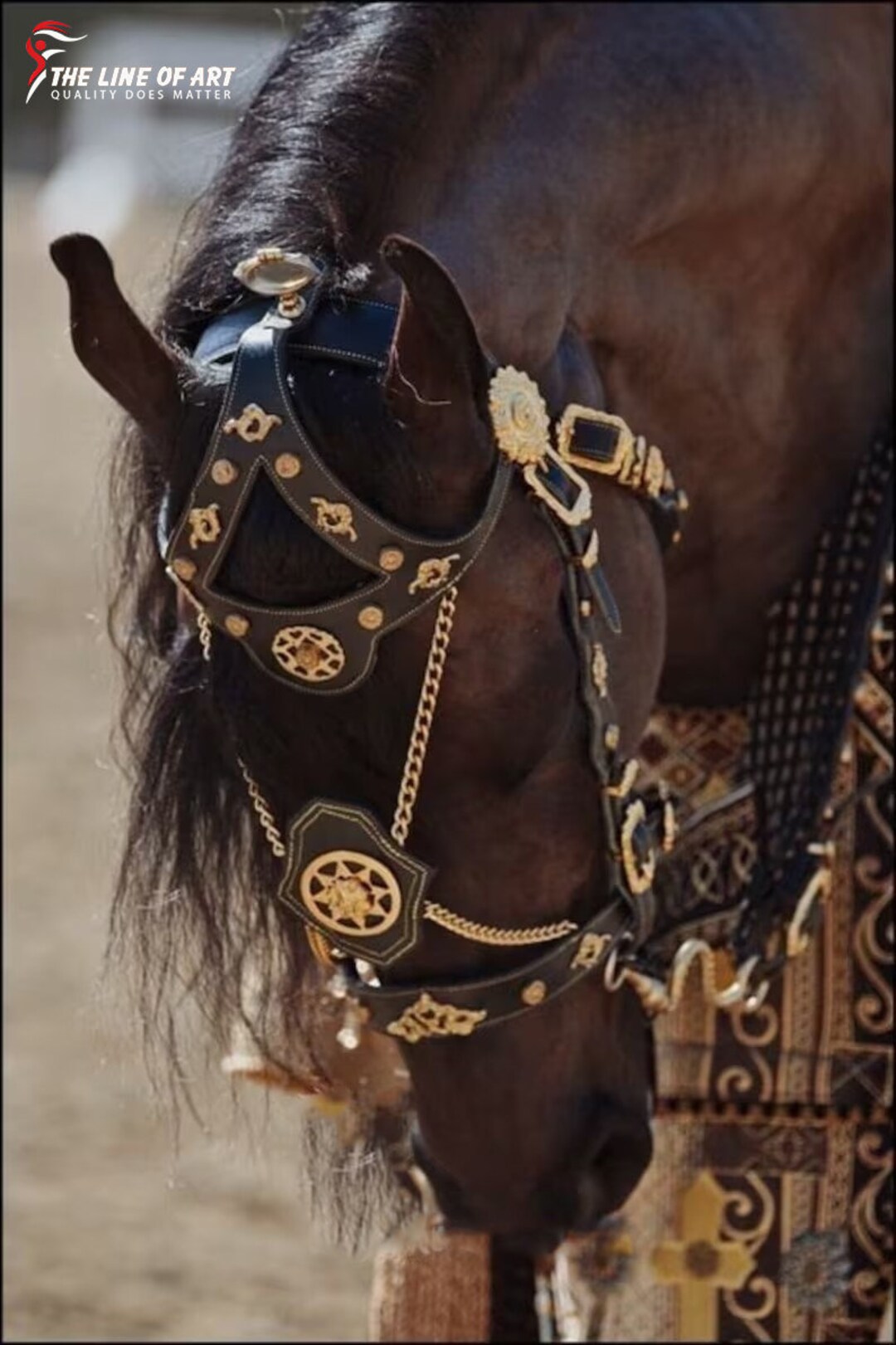 Horse Bridle in Vintage Style With Fancy Horse Bit , Fancy Horse Bridle ...