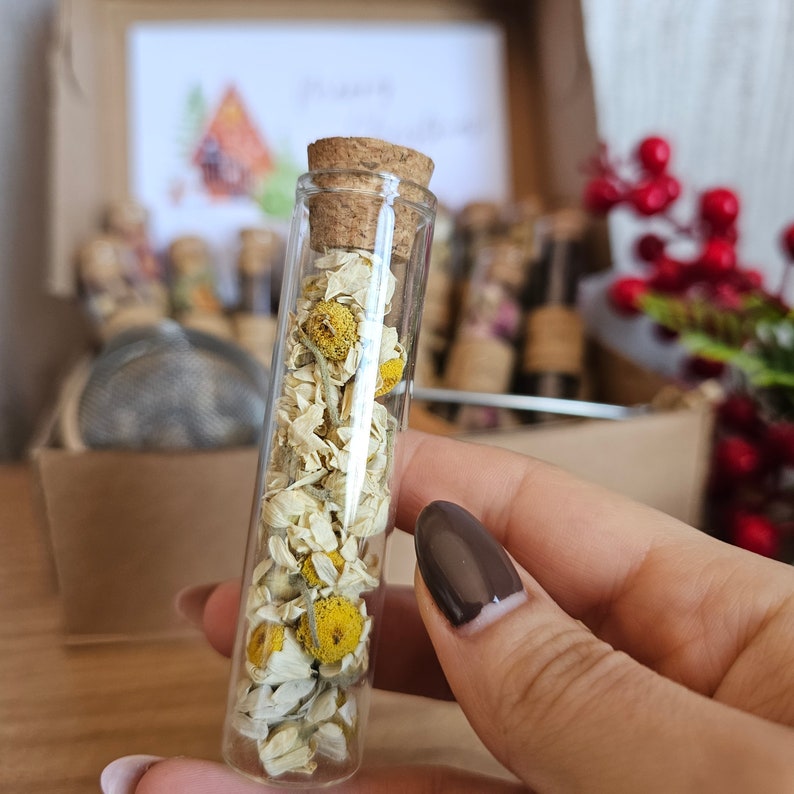 Artisan Tea Collection: Glass Tube Tea Set With 12 Exquisite Flavors ...