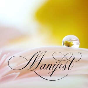 Manifest SVG | Hand Lettered Calligraphy Word | Flourished Script SVG ...