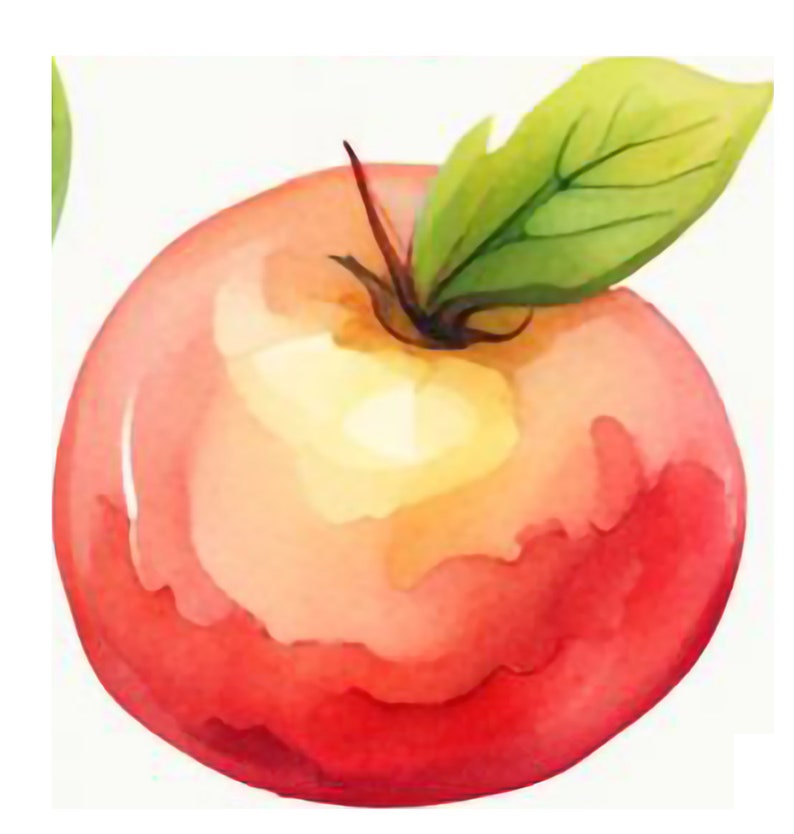Watercolor Summer Fruits - Etsy