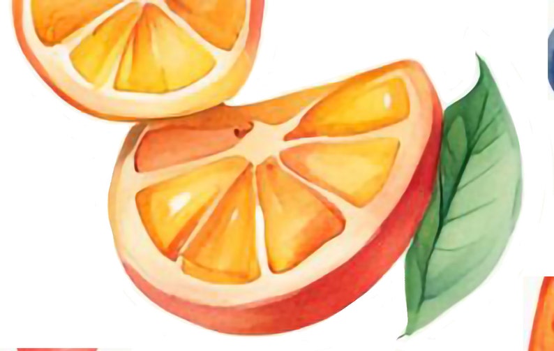 Watercolor Summer Fruits - Etsy