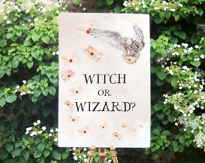 Witch or Wizard Gender Reveal Welcome Sign | Wizarding World Gender ...