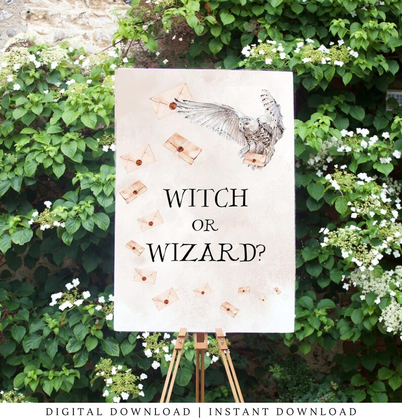 Witch or Wizard Gender Reveal Welcome Sign | Wizarding World Gender ...