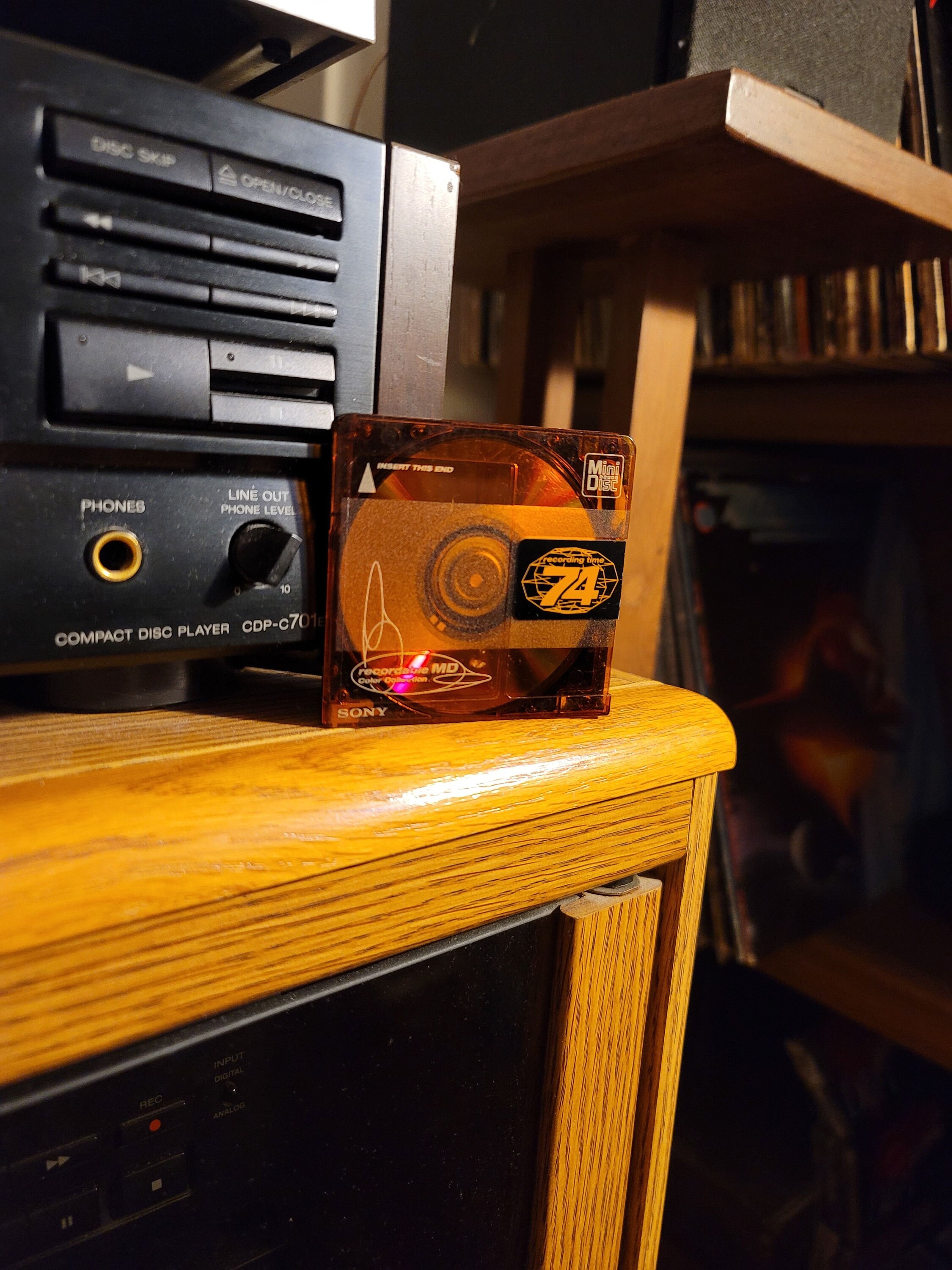 Custom Minidisc Mixtape 74 Minutes - Etsy