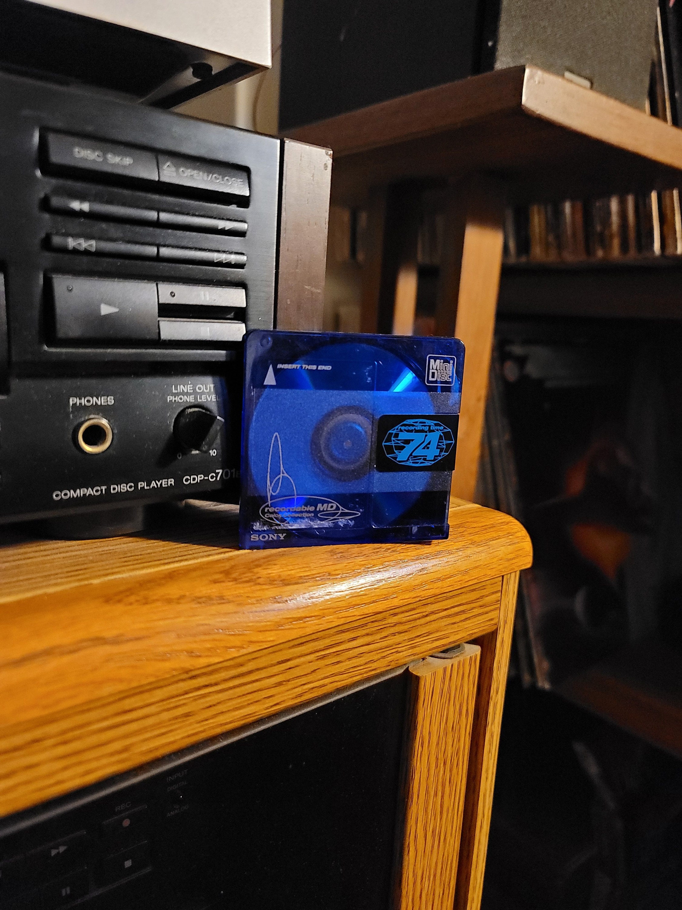 Custom Minidisc Mixtape 74 Minutes - Etsy