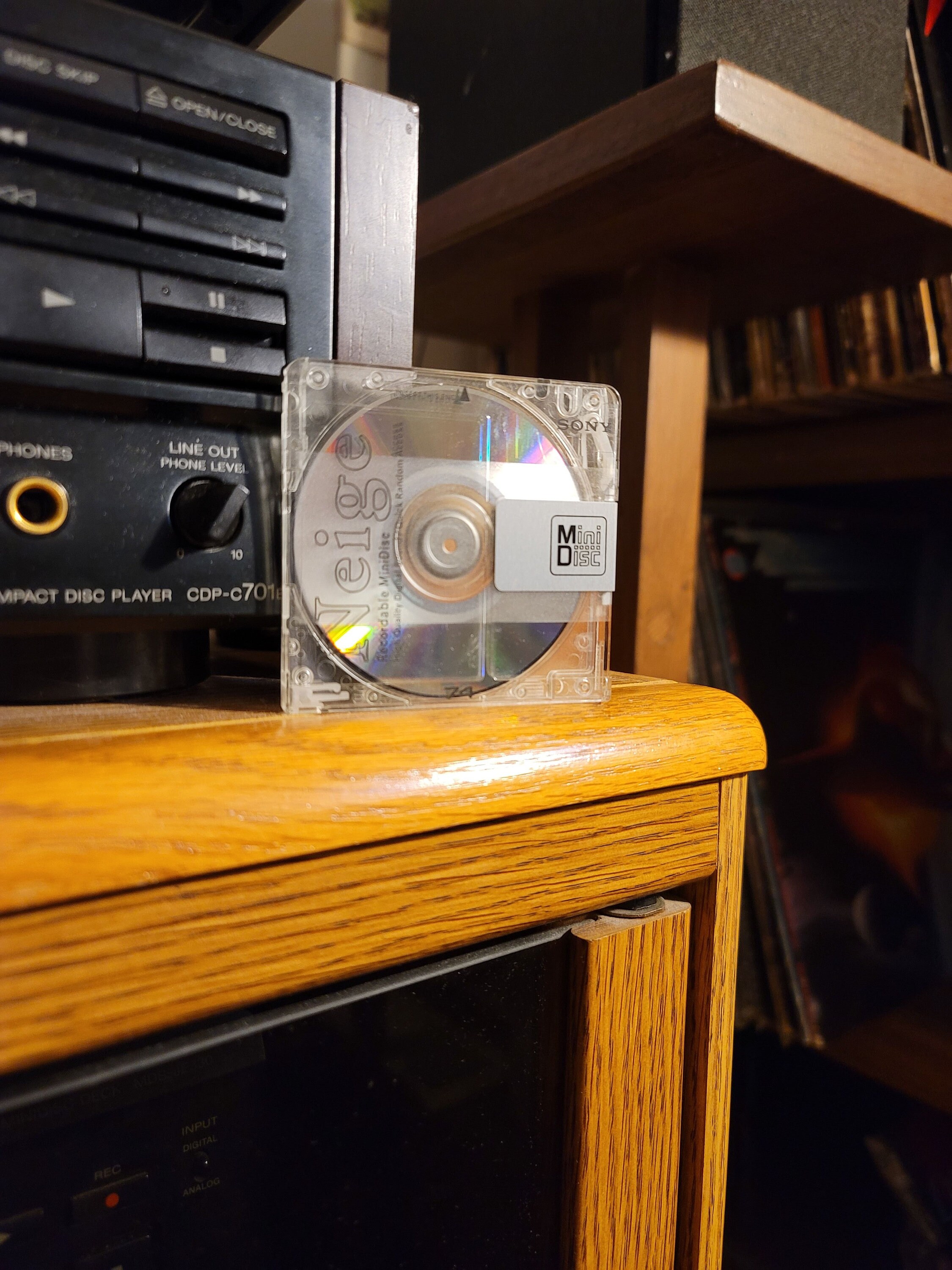 Custom Minidisc Mixtape 74 Minutes - Etsy