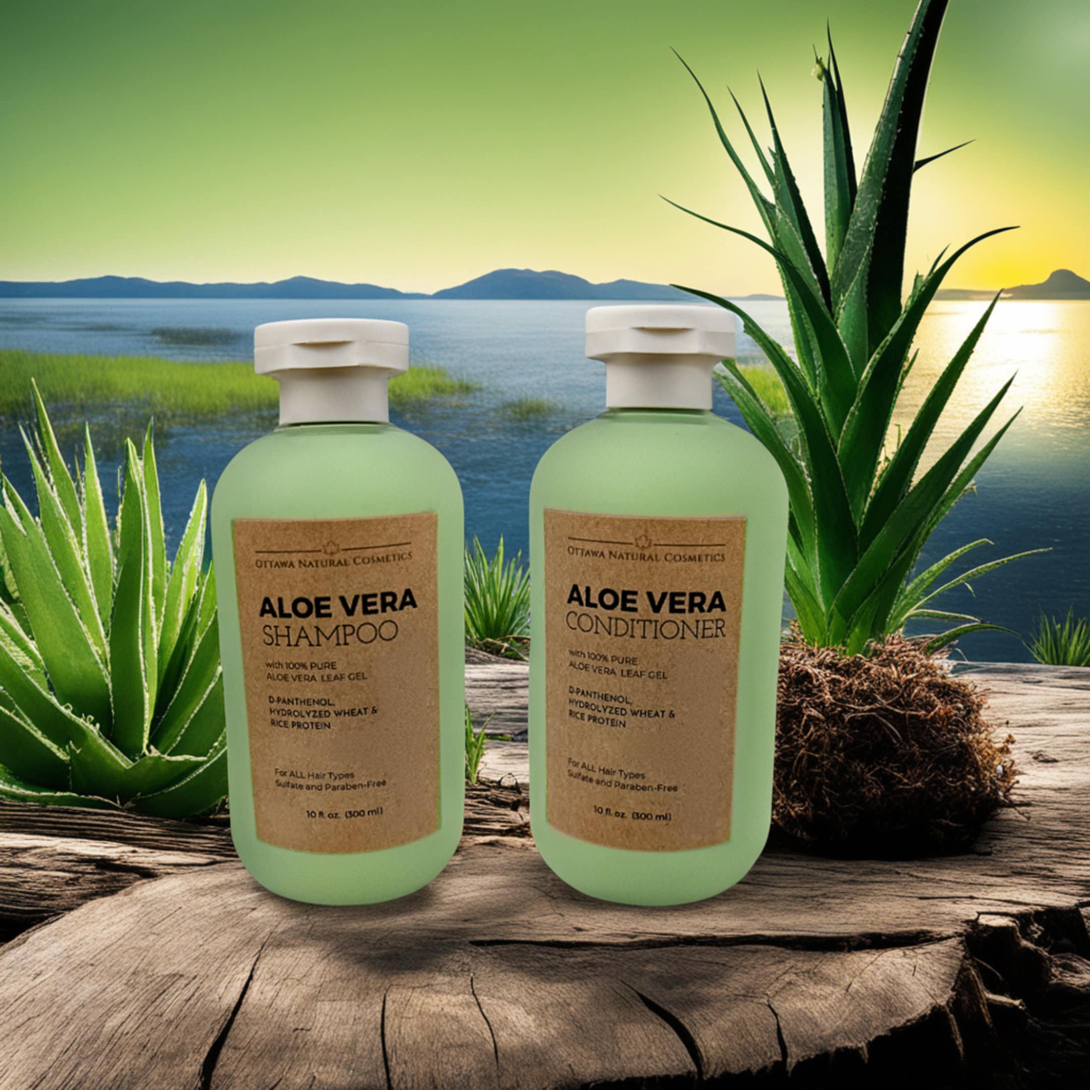 Aloe Vera Shampoo With Pure Leaf Gel Nourishing Hair Care for All Types ...