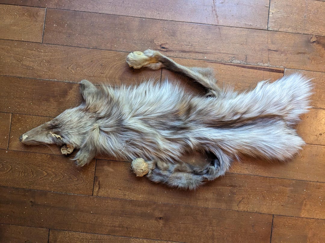 Mountable Fox Pelt - Cape - Etsy