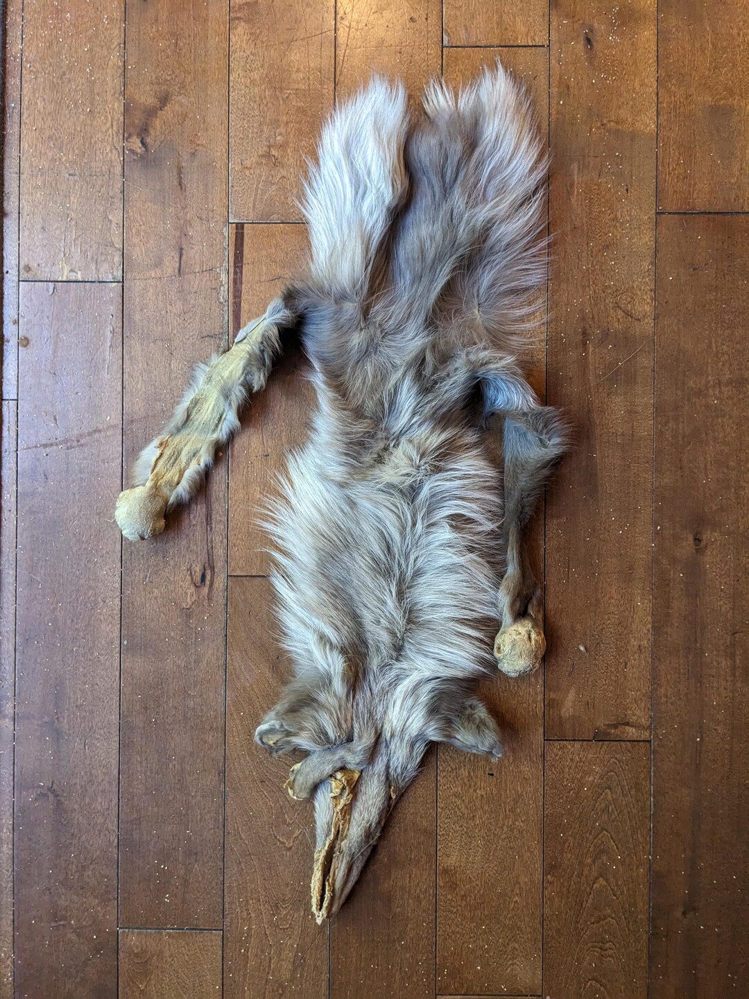 Mountable Fox Pelt - Cape - Etsy UK