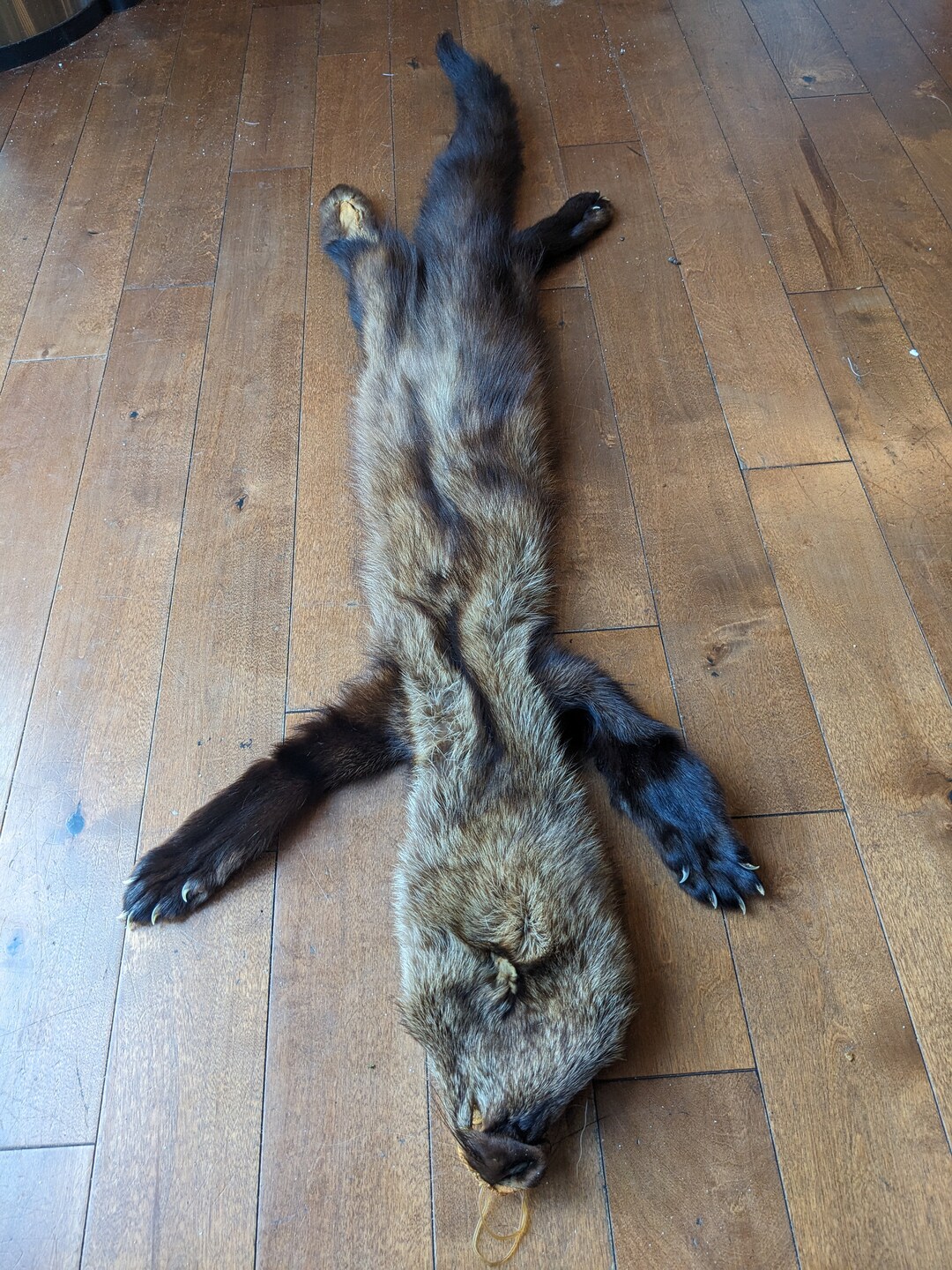 Fisher Cat Pelt With Paws and Claws - Etsy