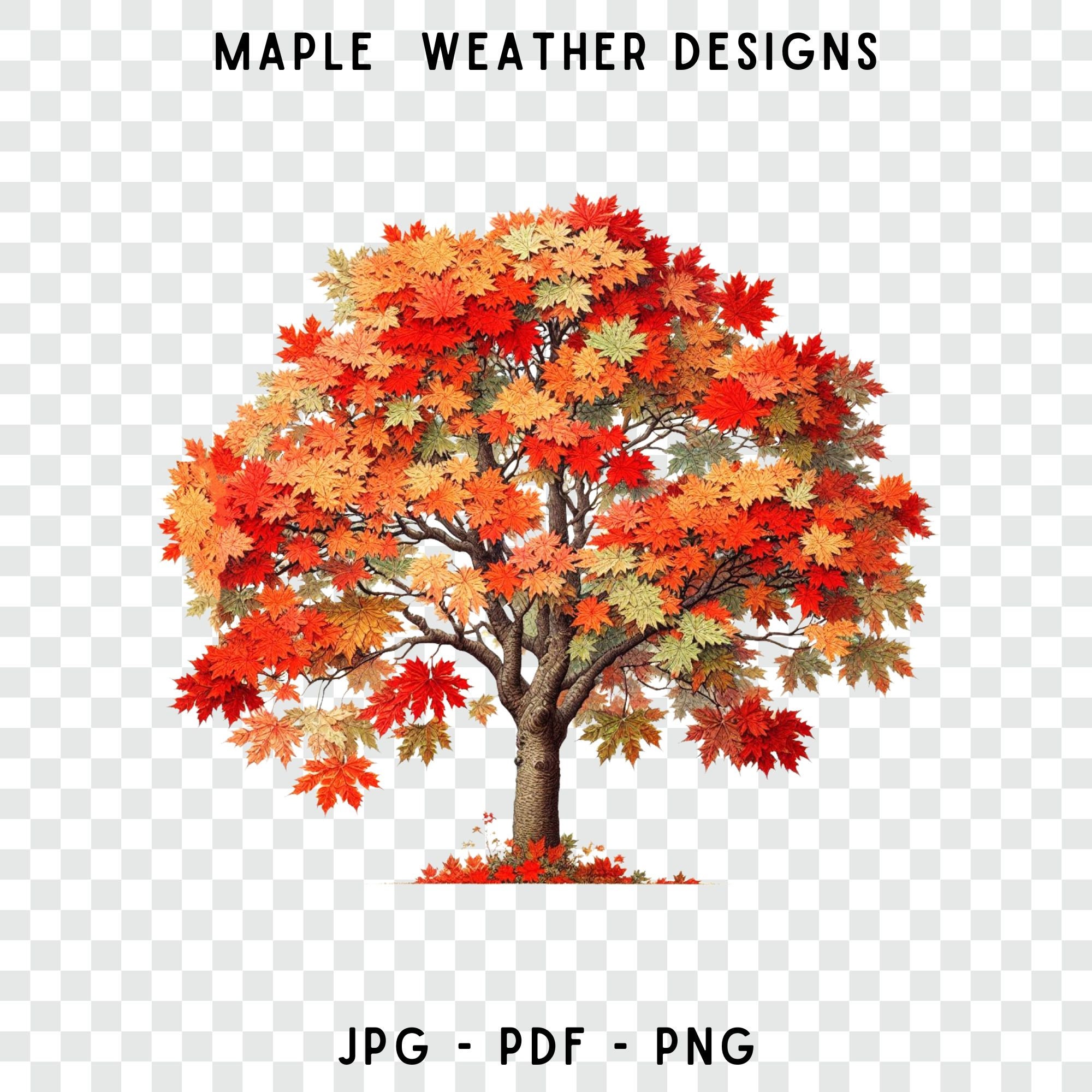 Maple Tree Png Plants Png Tree Png Trees Png Spring Png Trees Png ...
