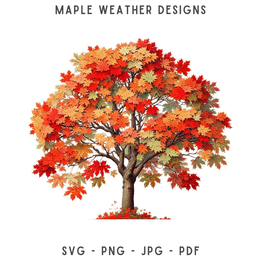 Spring Svg Plants Svg Tree Svg Trees Svg Spring Png Tree Png Maple Tree ...