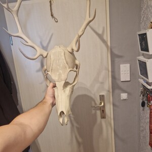 Wendigo Horror Mask Unique Artwork for Halloween Costume full Face ...