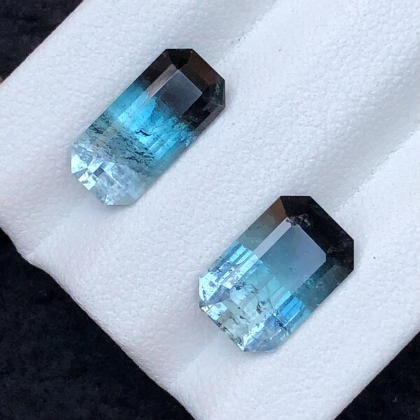 Bicolor Tourmaline - Etsy