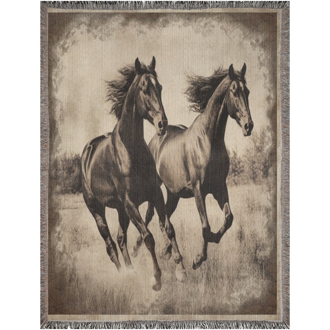 Woven San Marcos Mexican Swap Meet Vintage Horses Blanket, Cobija ...