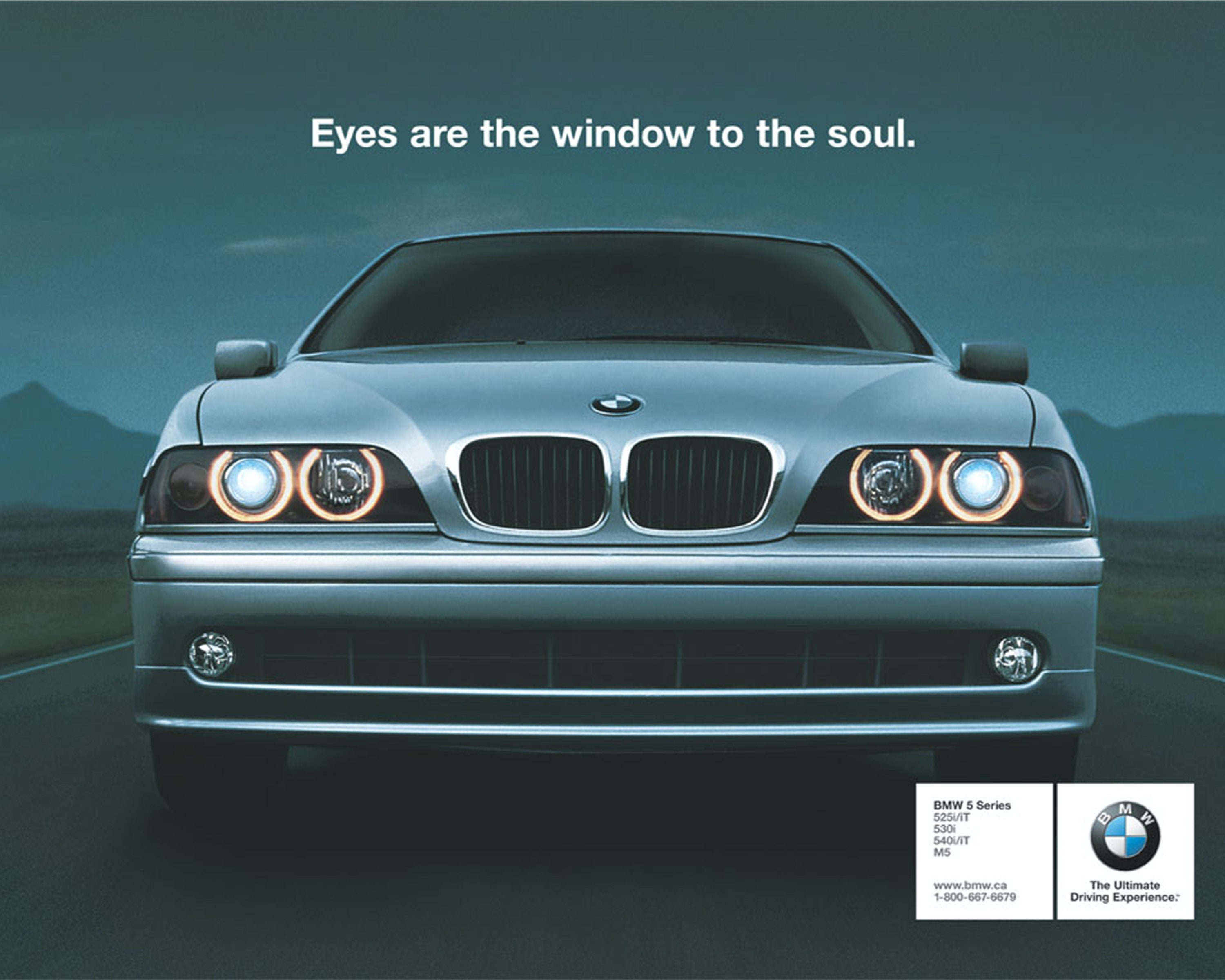 BMW E39 5-series Eyes Are Window to the Soul Halo Headlights 8x10 ...