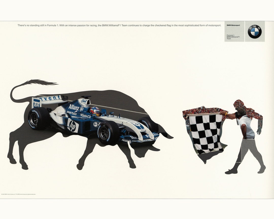 BMW Motorsport Williams F1 Formula 1 Bull Checkered Flag Racing 8x10 ...