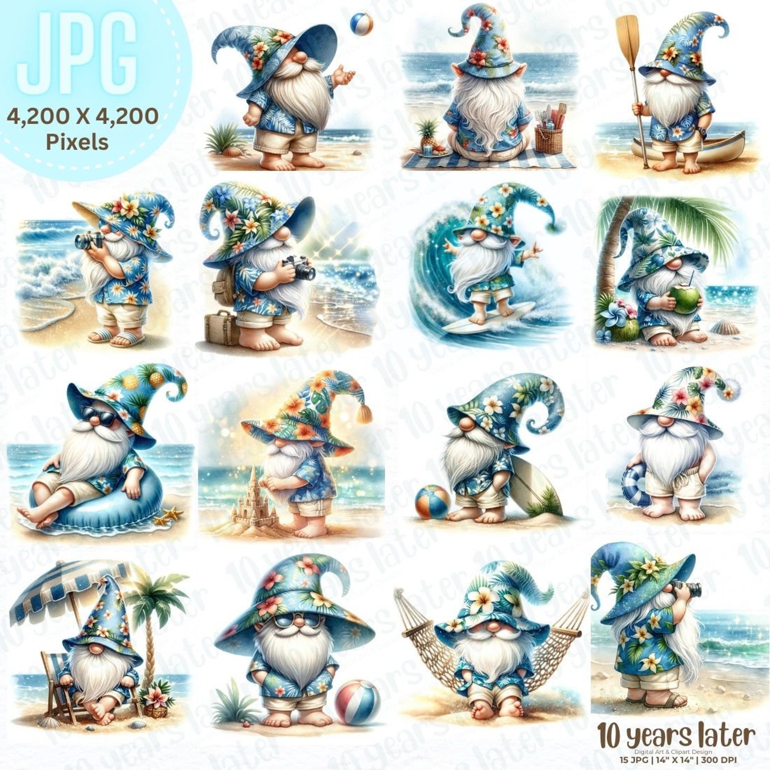 Gnome on the Beach JPG Beach Gnome, Summer Gnome, Gnome on Vacation ...