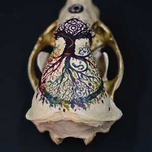 Badger Skull Real Celtic Tree of Life With Vintage Brass - Etsy