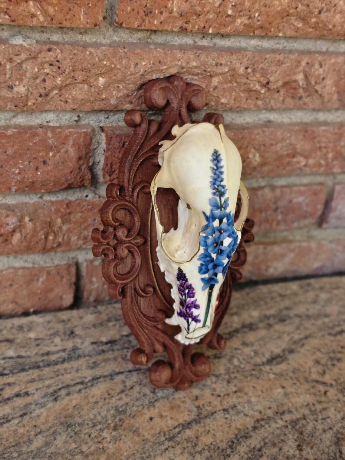 Alaskan Wildflower Fox Skull- Oddity - Curiosity - Etsy