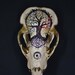 Badger Skull Real Celtic Tree of Life With Vintage Brass - Etsy