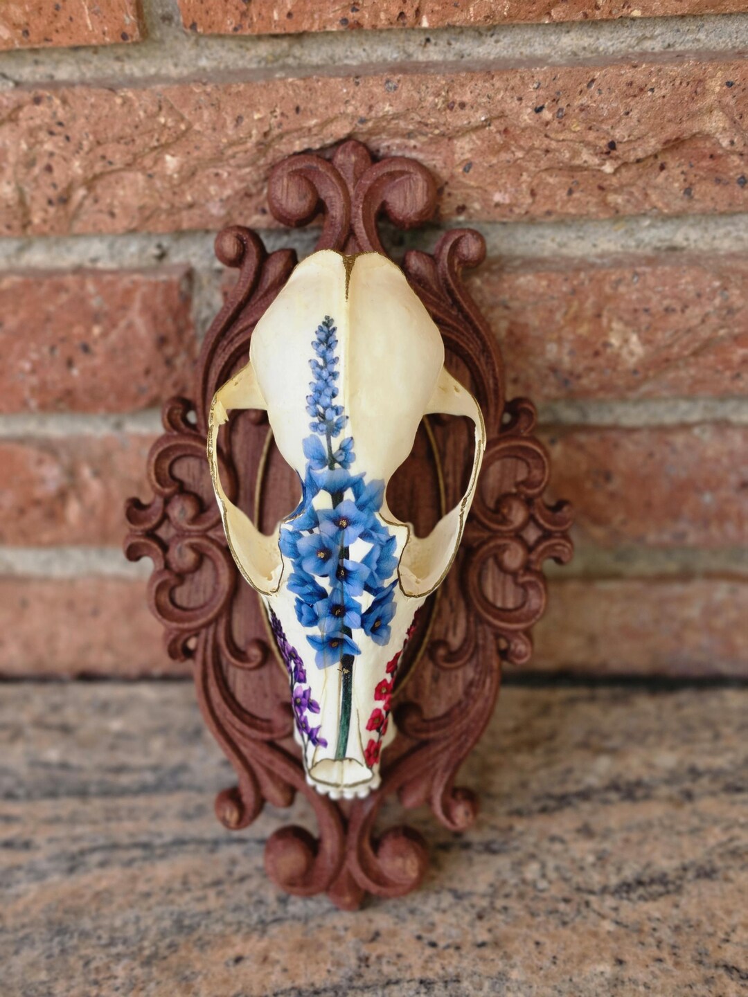 Alaskan Wildflower Fox Skull- Oddity - Curiosity - Etsy
