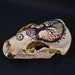 Badger Skull Real Celtic Tree of Life With Vintage Brass - Etsy