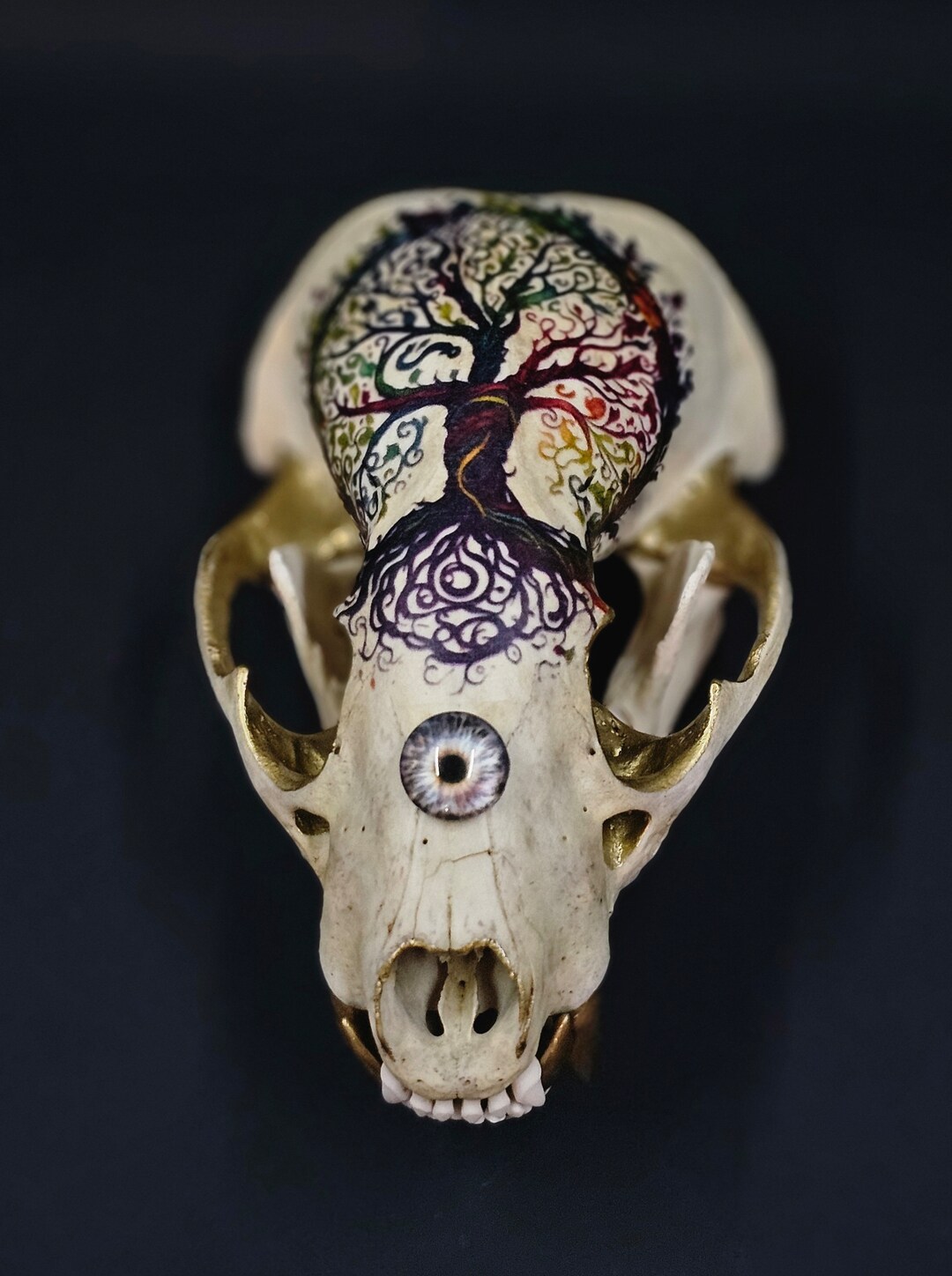 Badger Skull Real Celtic Tree of Life With Vintage Brass - Etsy