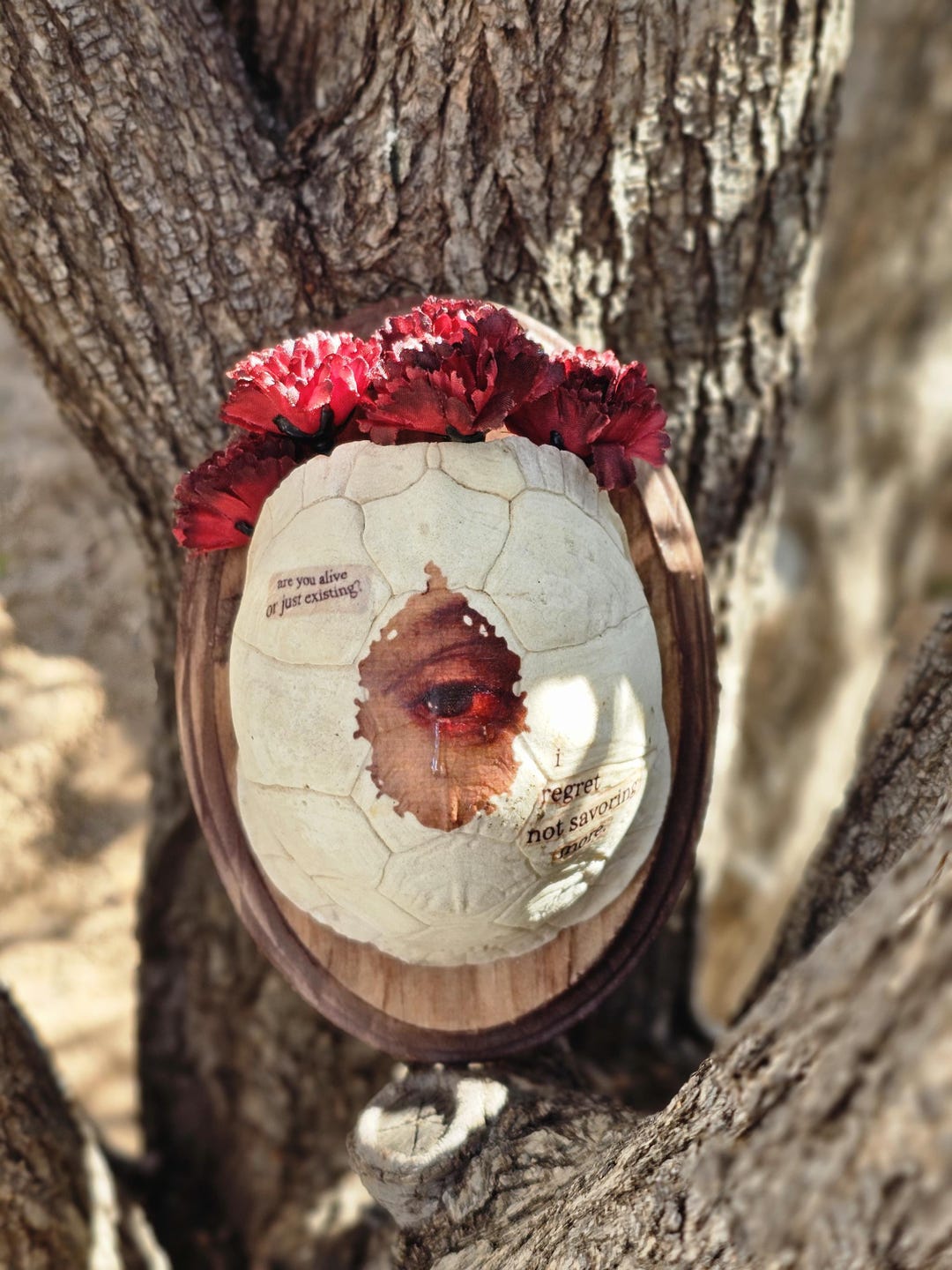 Sunbleached Turtle Shell Flower Wall Holder- Oddity - Curiosity - Etsy