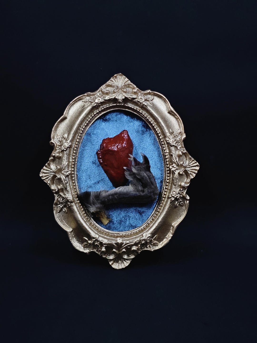 Muskrat Foot Holding Chicken Heart Oddity Curiosity - Etsy