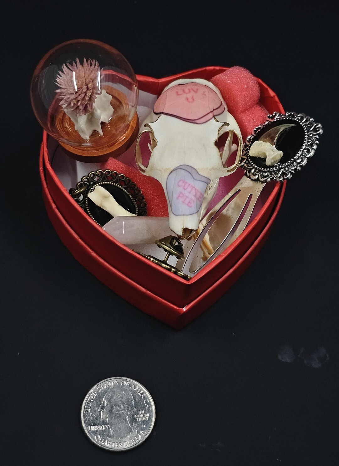 Valentine Oddity Box - 6 Pieces - Squirrel Skull - Keychain - Bookmark ...