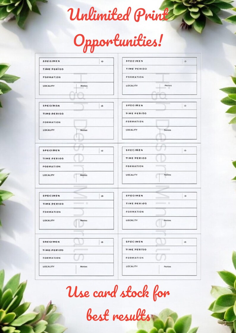 Fossil Identification Labels – Printable Specimen Cards (digital ...