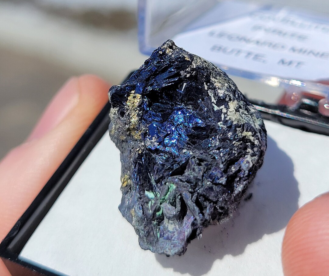 Stunning Deep Blue Covellite, Pyrite, With Minor Malachite Mineral ...