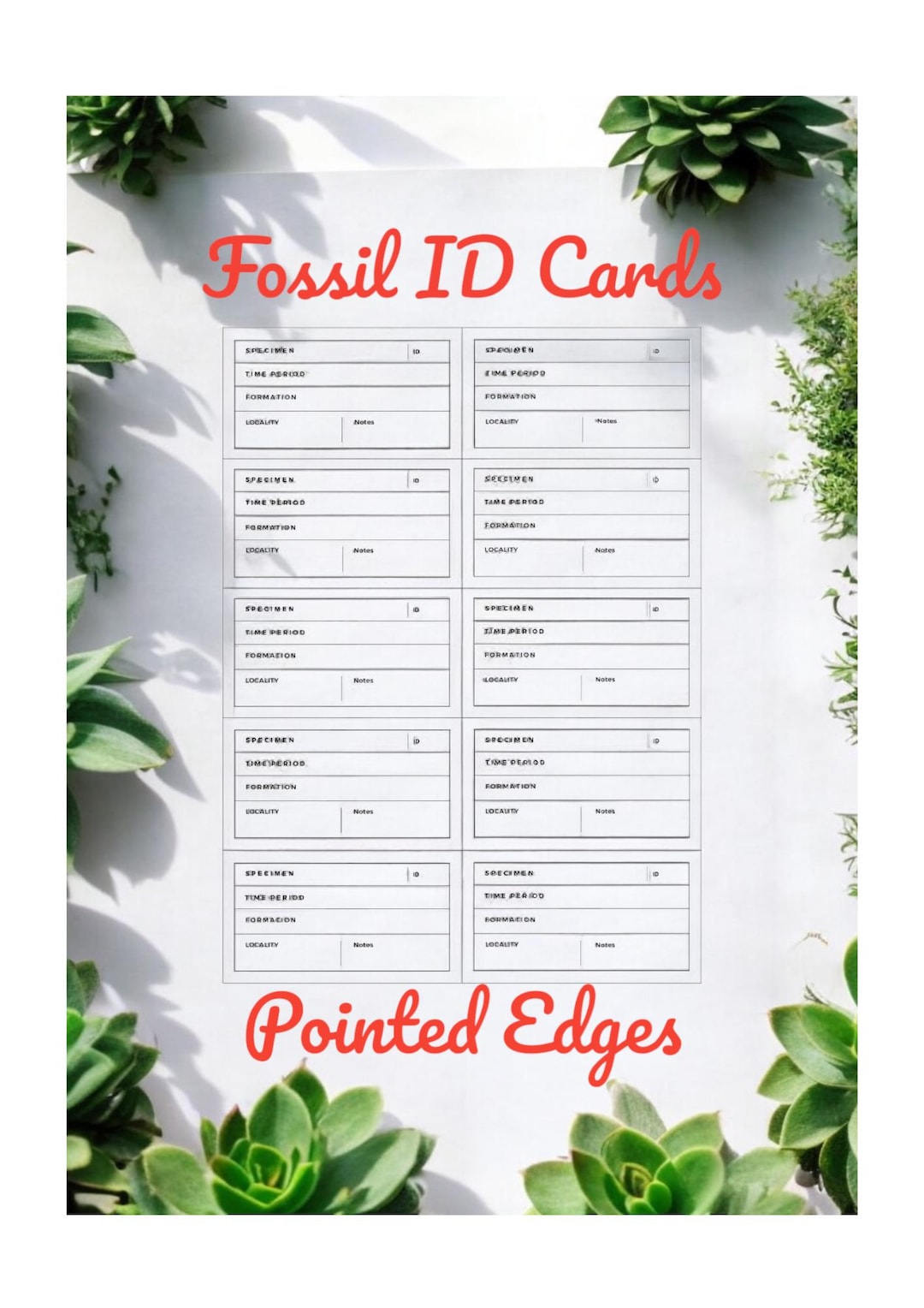 Unlimited Access Fossil Identification Labels X 10 per Sheet - Used to ...