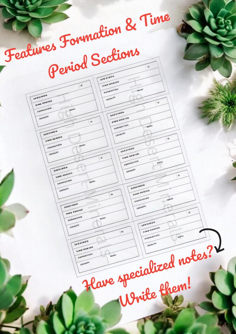 Fossil Identification Labels – Printable Specimen Cards (digital ...