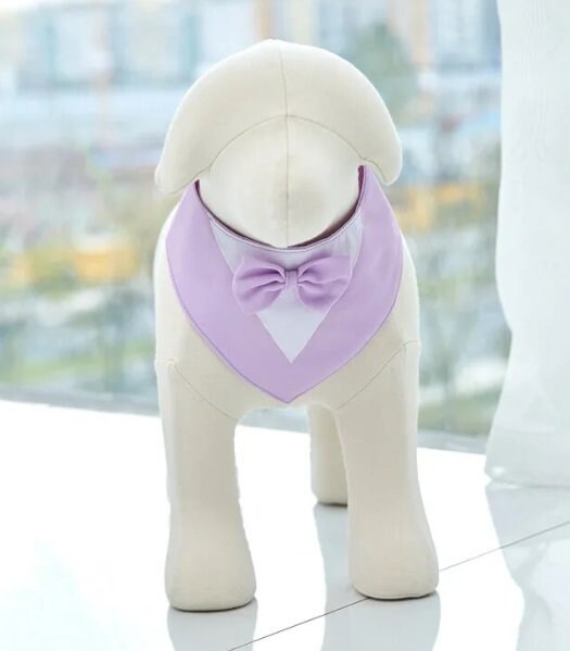 Formal Pet British Wedding Suit Gentleman Scarf Bow Tie Collar - Etsy
